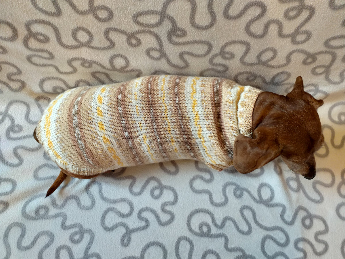 Knitted clothes dachshund sweater, dachshund clothes, dachshund sweater ...